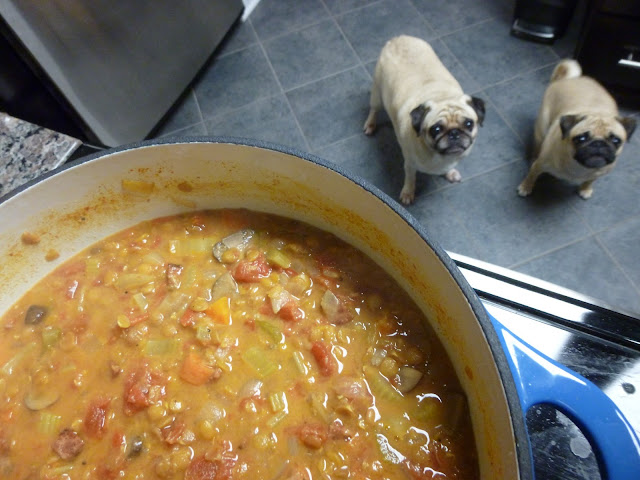 Grubbin' Pugs: Curried Lentils and Tomatoes Stew