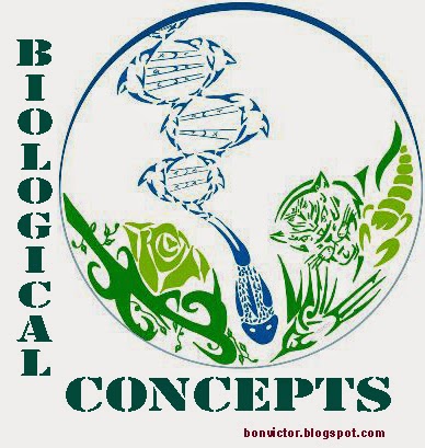 bonvictor.blogspot.com: Teaching of Biological concepts