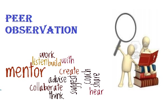 TEACHER DEVELOPMENT: Peer Observation