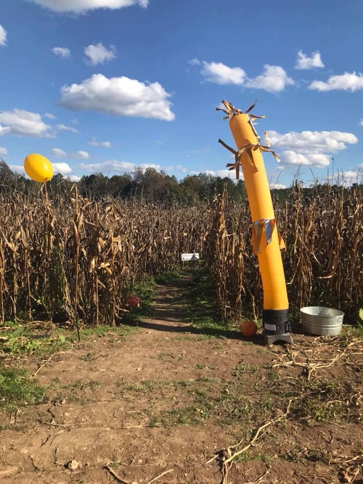 Entries: Harvest 2017 Photo Contest