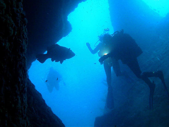 Plongée aux Îles Medes : tunnels to an amazing feeling