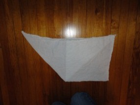 One Step Behind: Flat Origami Fold