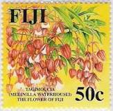 .: Lockington's Everyday Fiji ... Life Goes On