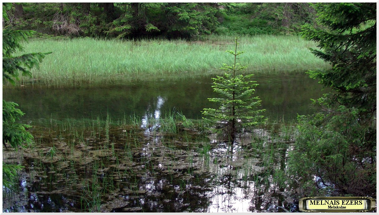 Pasaule: Nacionālais parks "Durmitor" / Melnais ezers / Melnkalne