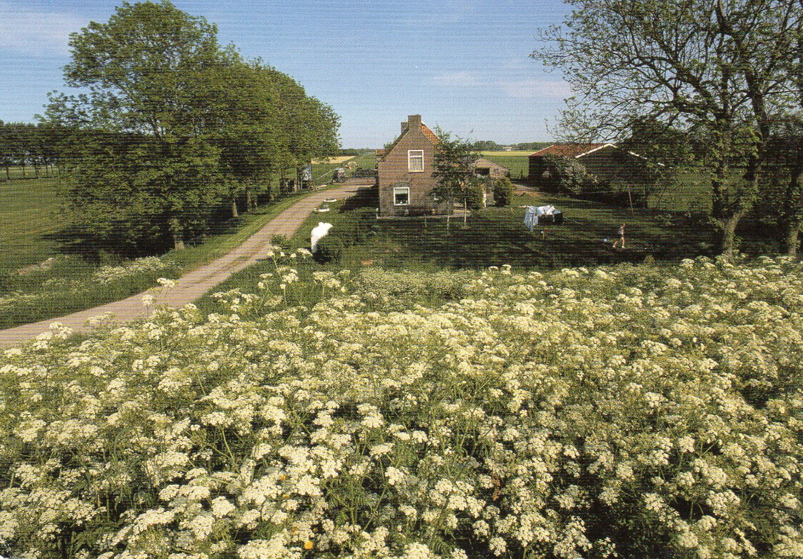 UNESCO postcards collection by dannyozzy: Droogmakerij de Beemster ...