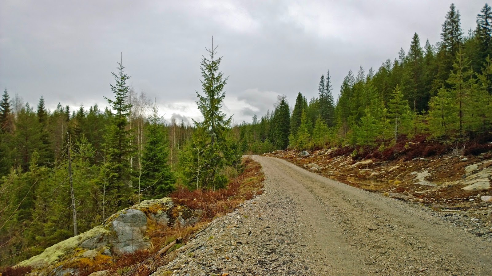 Nurmes - vaarojen kaupunki