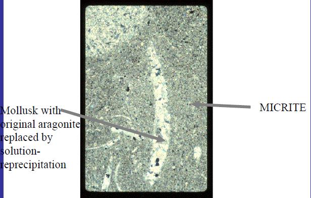 BATUAN SEDIMEN KARBONAT