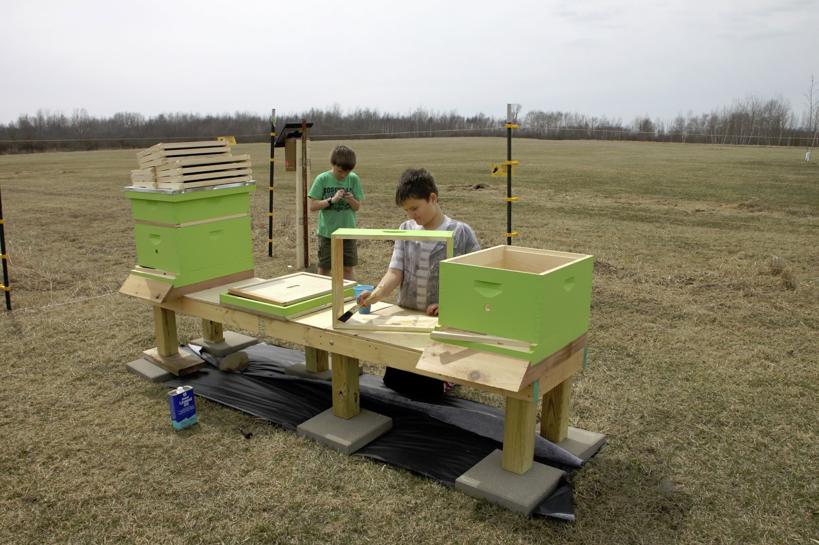 The Randall Bee Blog: April 2013