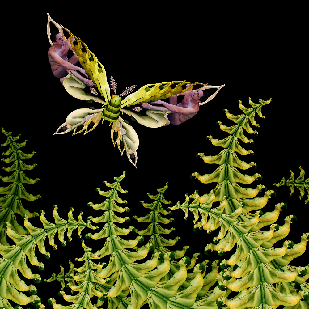 Hero NLorraine Sangraal "Le monde imaginaire de la photographie"...: Cecelia Webber