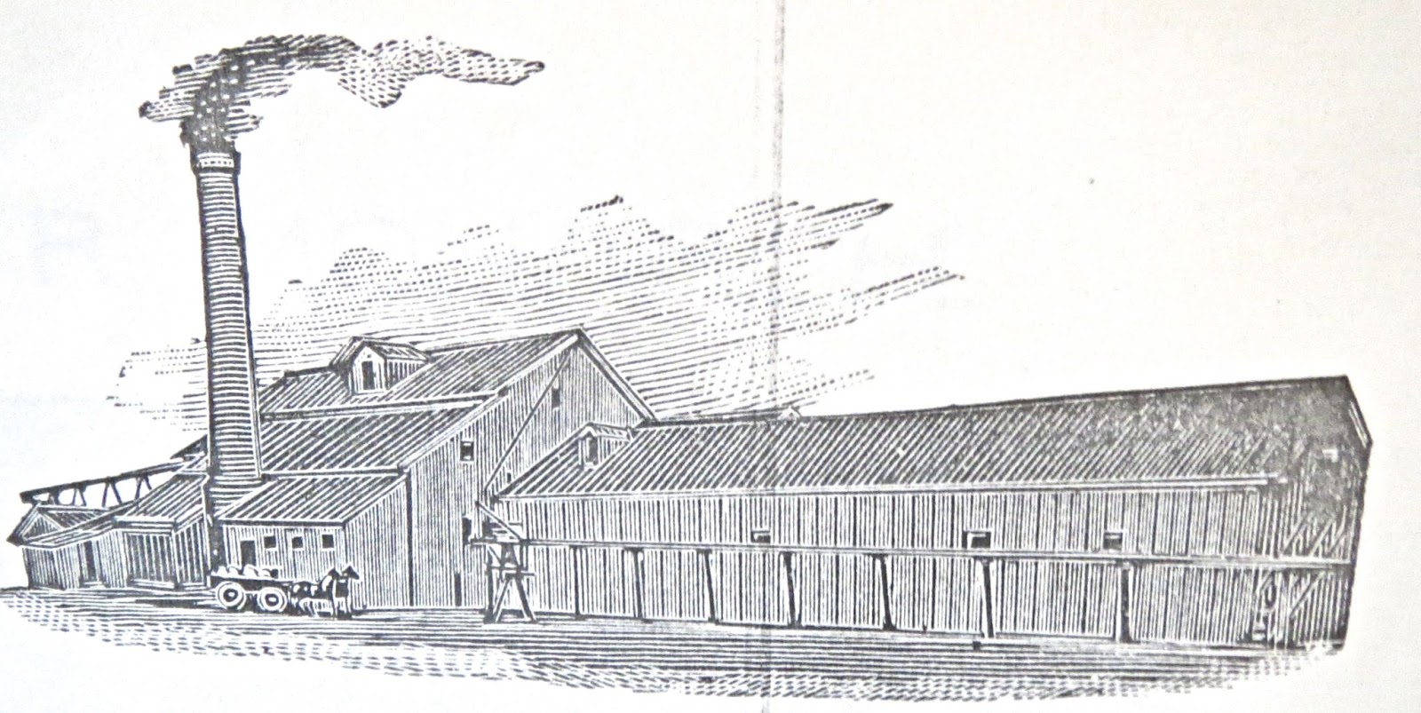 Those Pre-Pro Whiskey Men!: The Kentucky Thompsons: Shrinking the ...