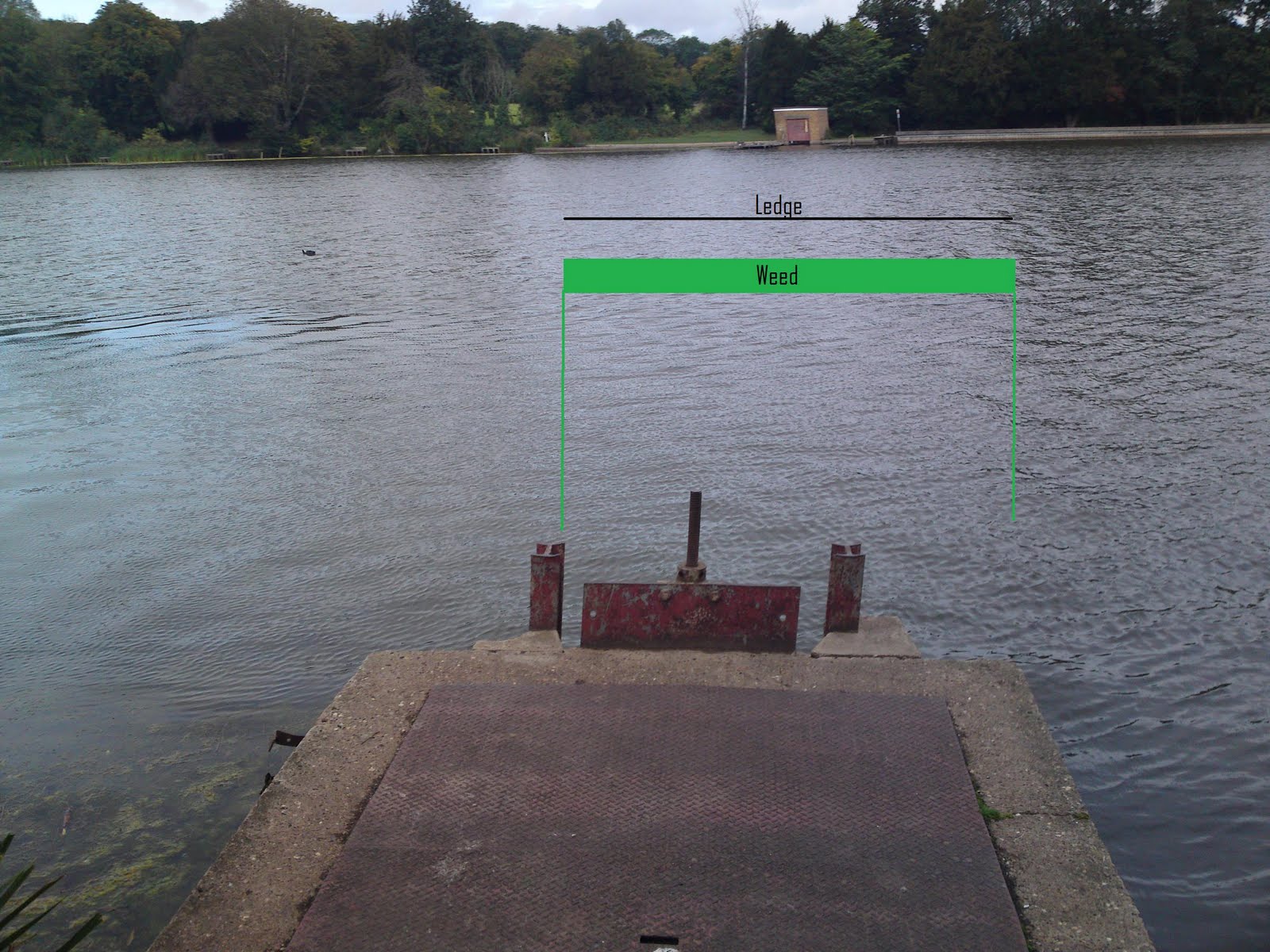 Fish4Thought: Langold Lake, Pegs for Late summer.