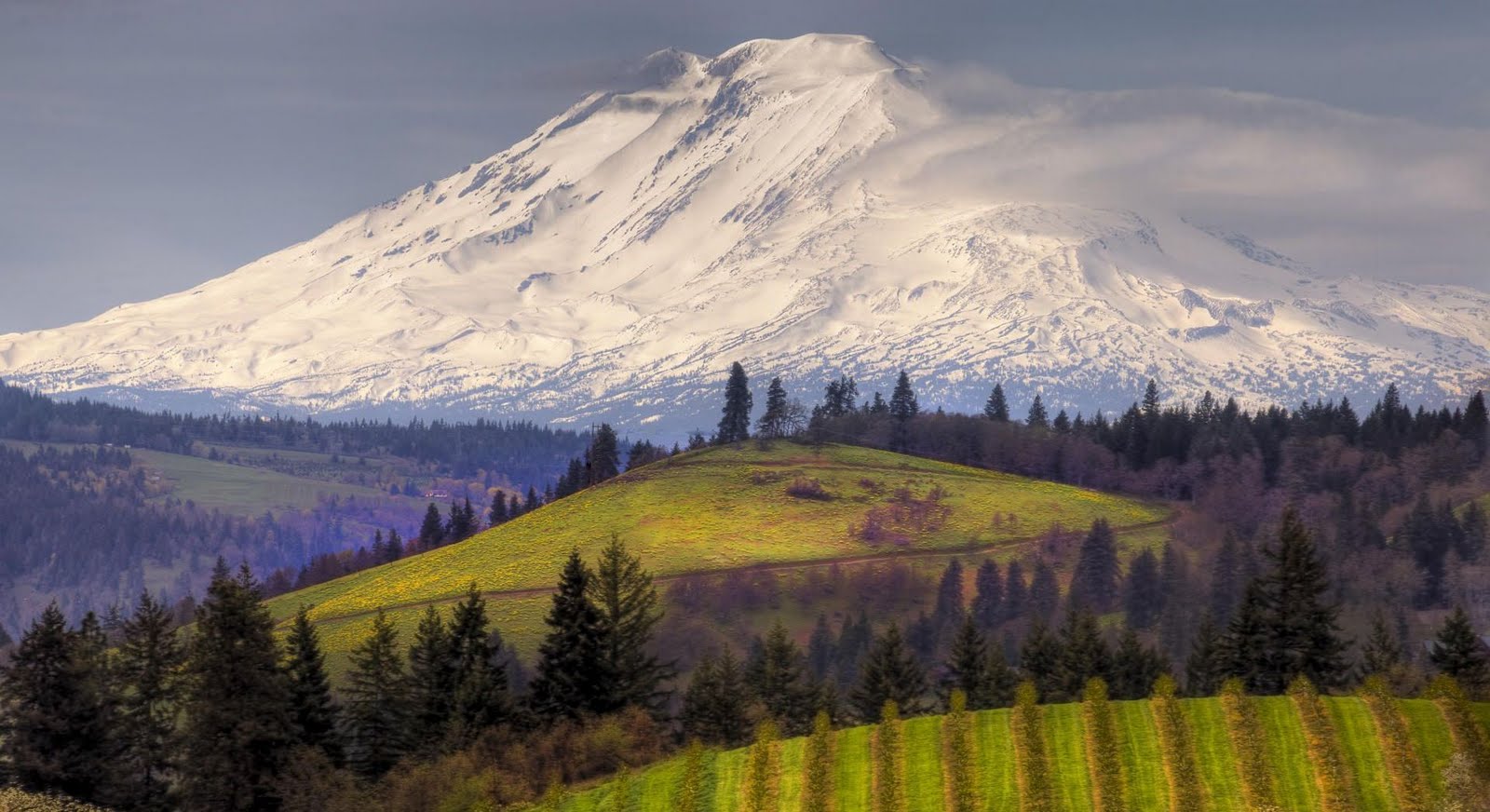 Nature HQ Wallpaper Set 3 | PTP