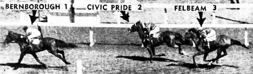 The Colours Of Horse Racing: Bernborough