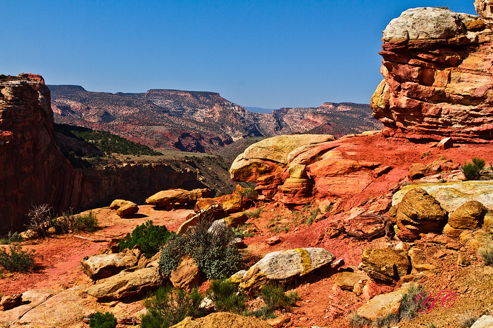 See What I See: YC 镜中的 Capital Reef and Arches NP