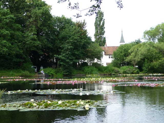 The King's Blog: Kingsley in a nutshell