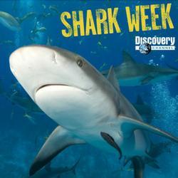 Climate Resource Exchange: Happy Shark Week!
