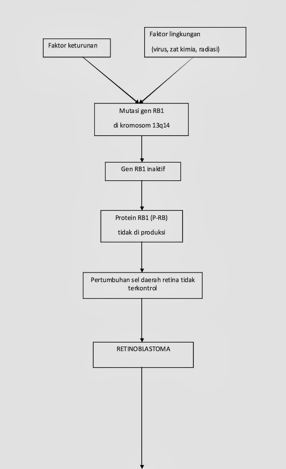 Dicky Nufero (nurse for hero): PATHWAY RETINOBLASTOMA