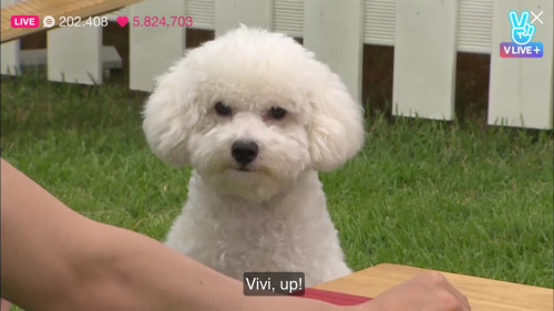 Evolvere: Sehun and Vivi: Should I Get Jealous?