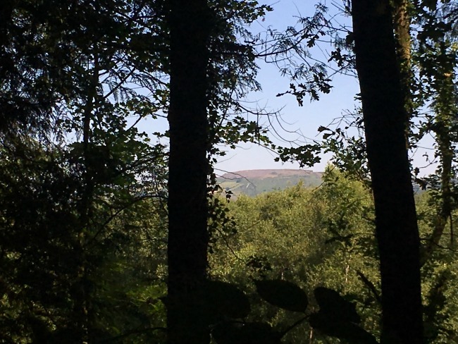 Llwyn Celyn Whips - An Easy Walk With A View Over Cardiff | Teddy Bears ...