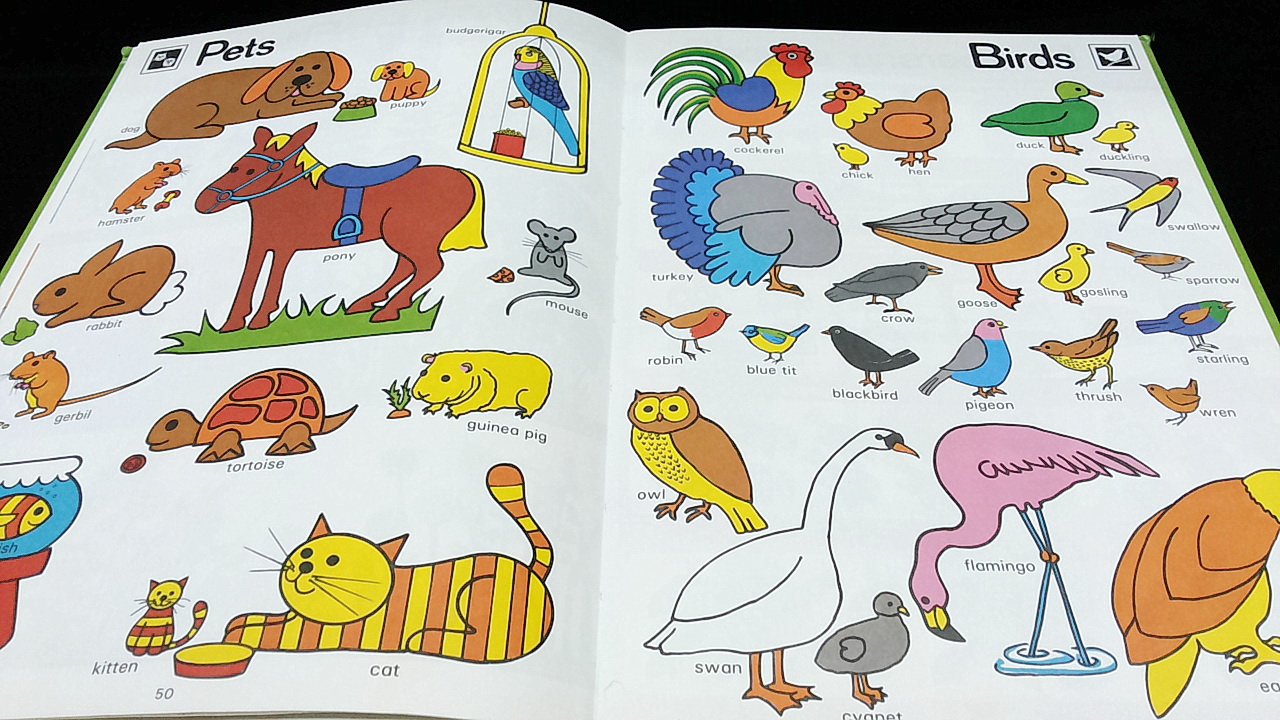 Kid Books Blog: 10.Ladybird Picture Word Book