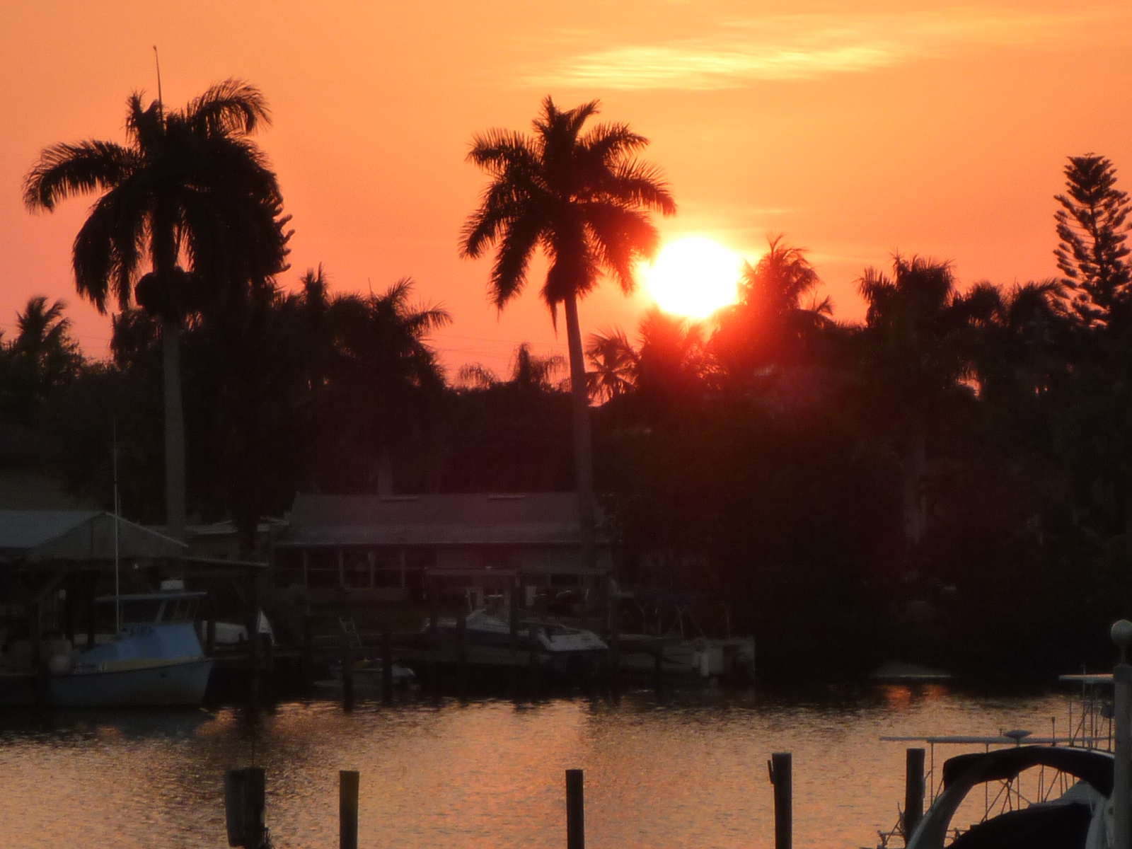 Catmandu On The Loop