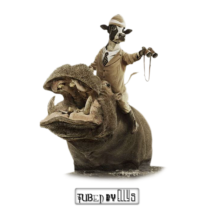 Alles voor en over PSP : TUBES KOEIEN