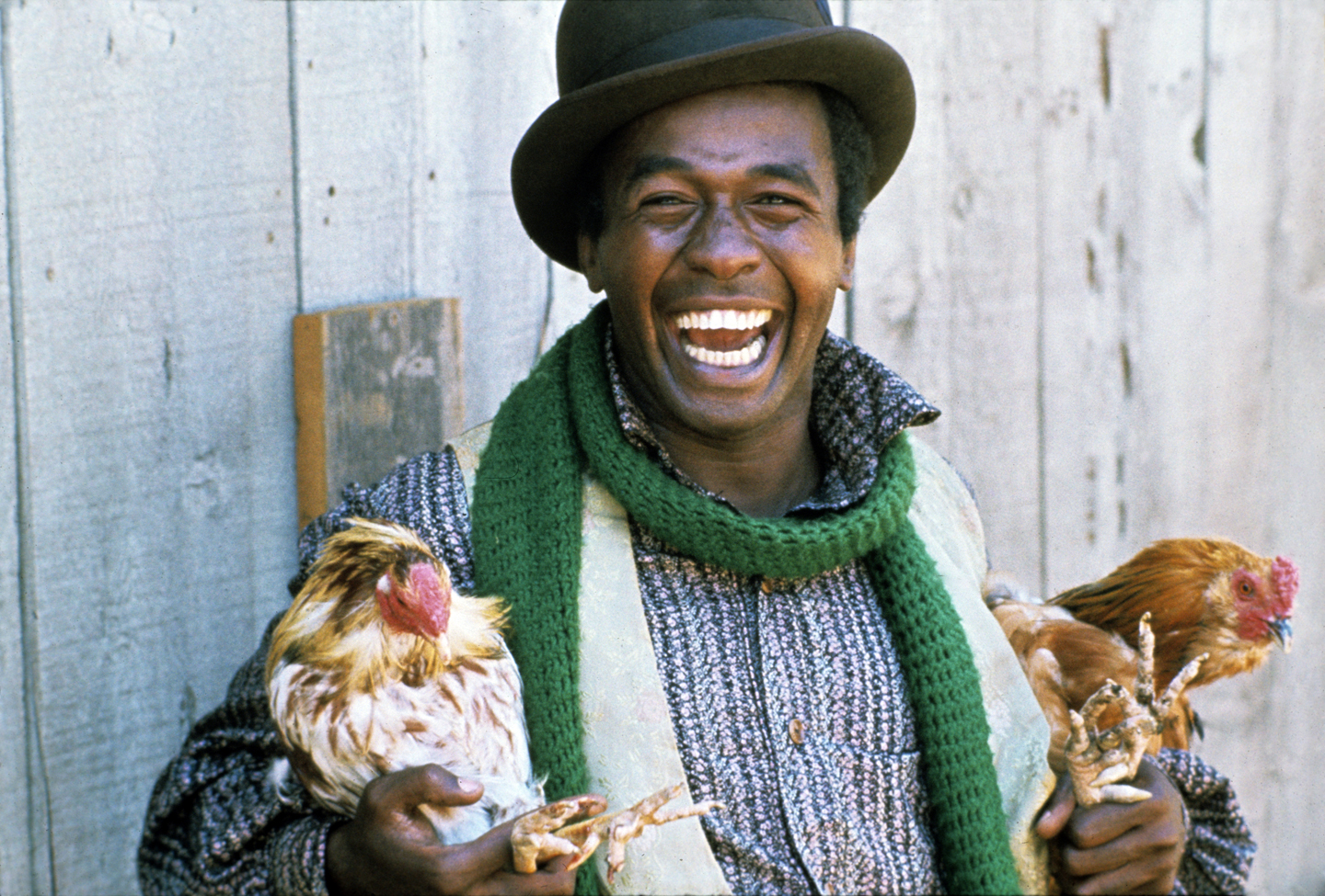 ROOTS- Raíces (1977)