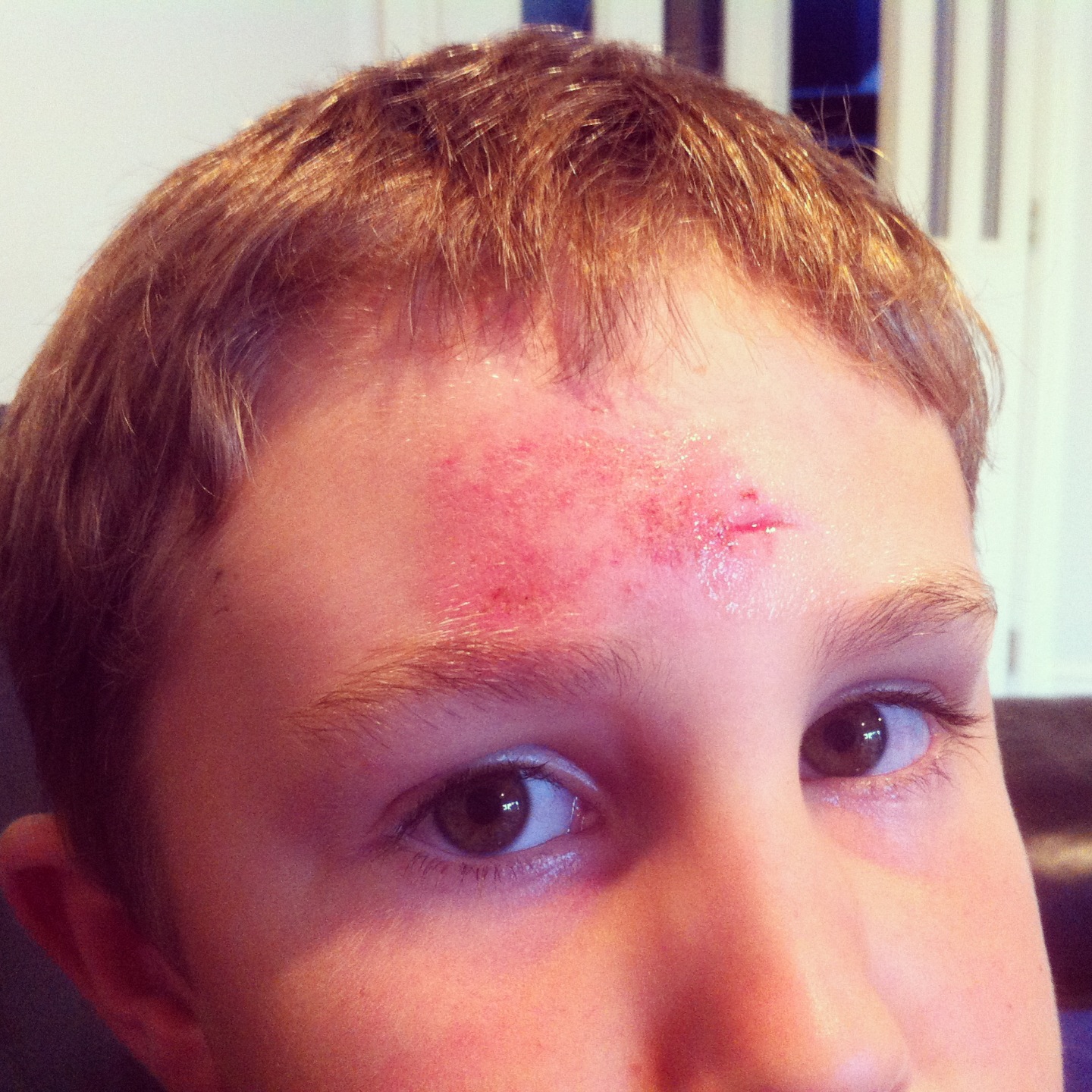 March 2013 | the adventures of MNMs