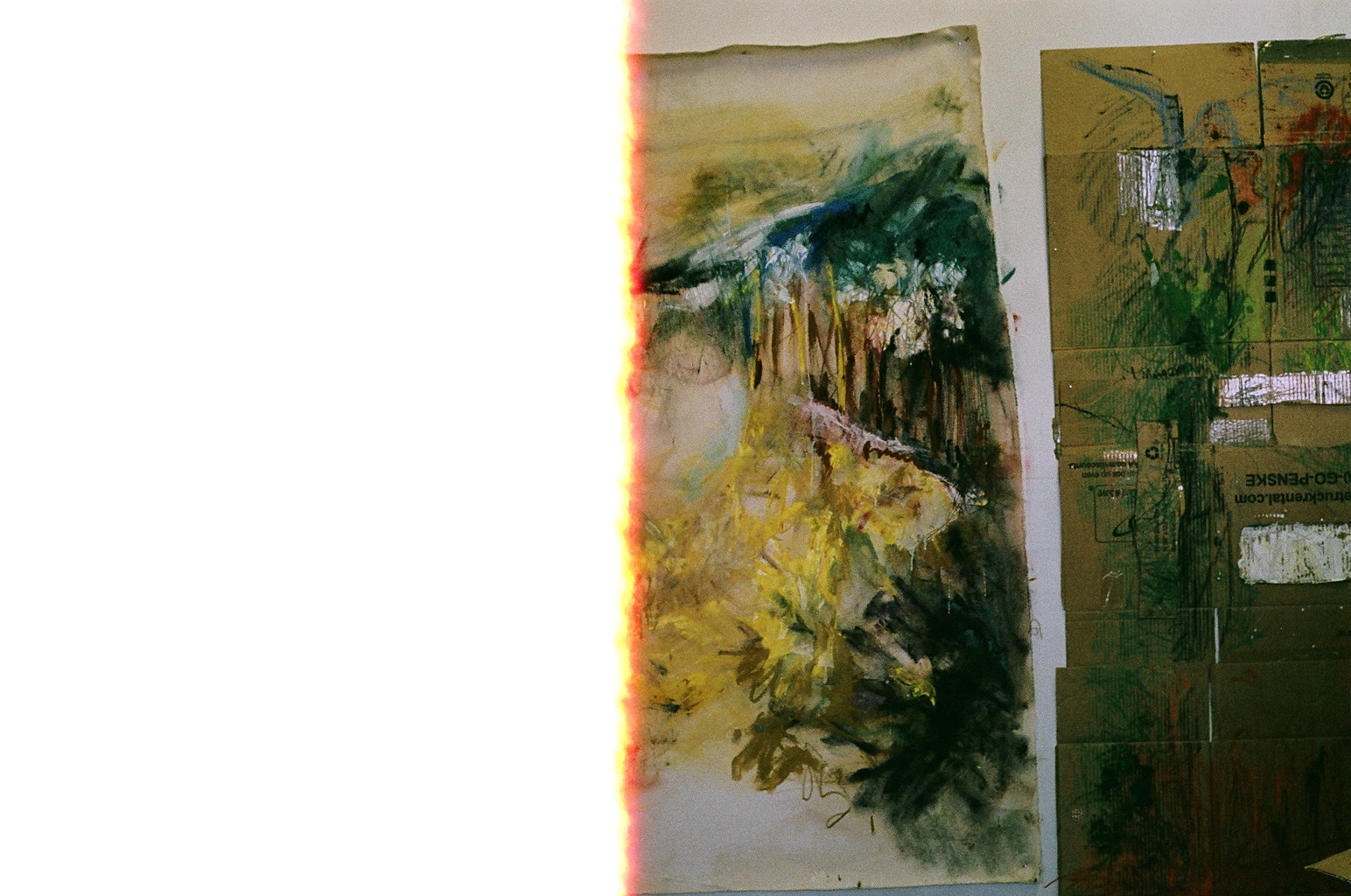 Anne Harris: My newest Paintings