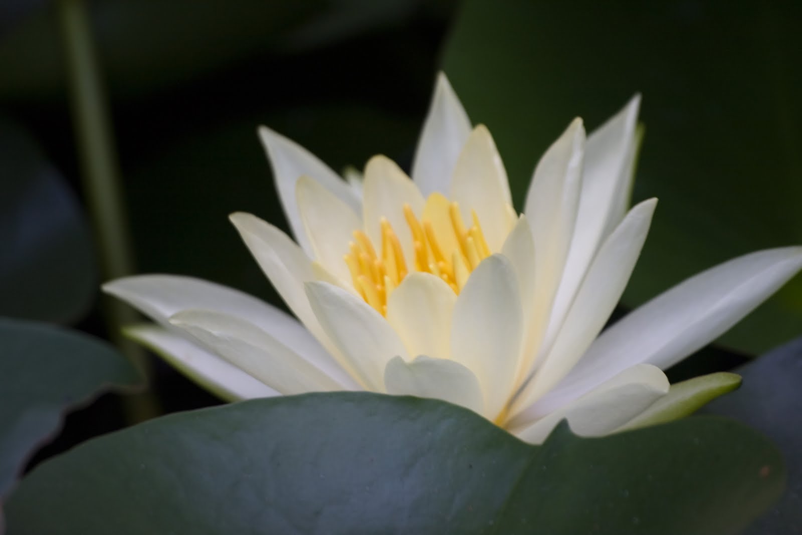 Gran Canaria "Un Paisaje por Descubrir" : agosto 2011