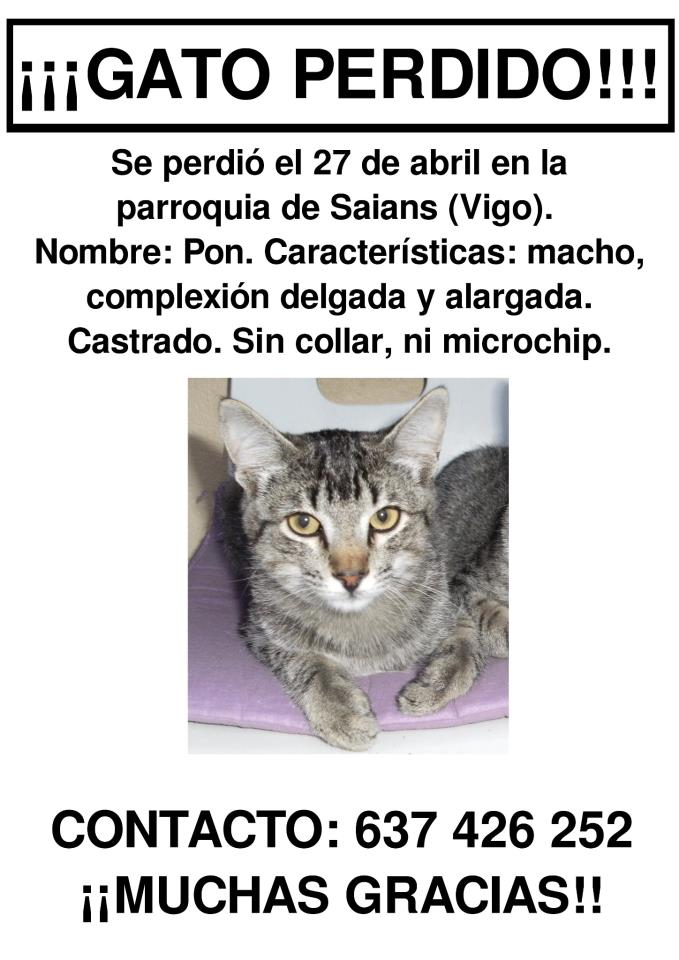 ASOCIACION COORDINADORA PROTECTORAS PROVINCIA PONTEVEDRA: Vigo. Se ...