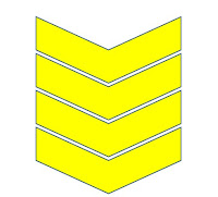 Singkatan SERMA, Istilah Pangkat TNI - druwo