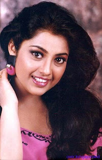 SOUTH ACTRESS MEENA HOT SEXY WALLPAPERS AND MASALA PHOTOS