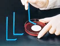 Mengenal Peralatan Laboratorium Mikrobiologi