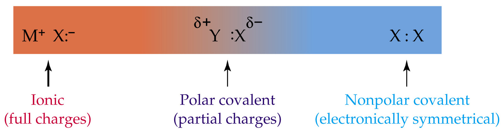 A-Level Chemistry: 2.4b: recall that ionic and covalent bonding are the ...