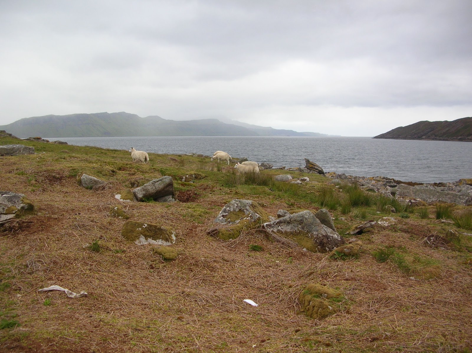 A lifetime of Islands: Island 149 - Holoman Island, Raasay, Inner Hebrides
