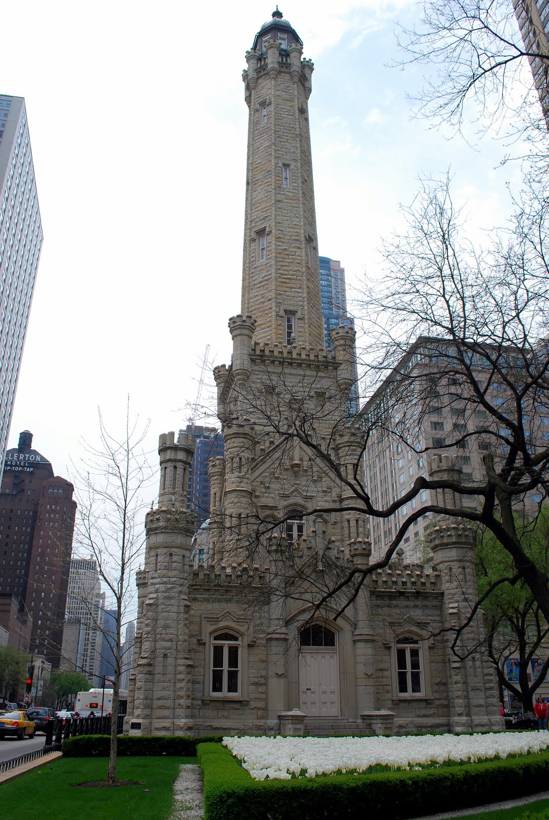 Mille Fiori Favoriti: Tulips on Chicago's Magnificent Mile