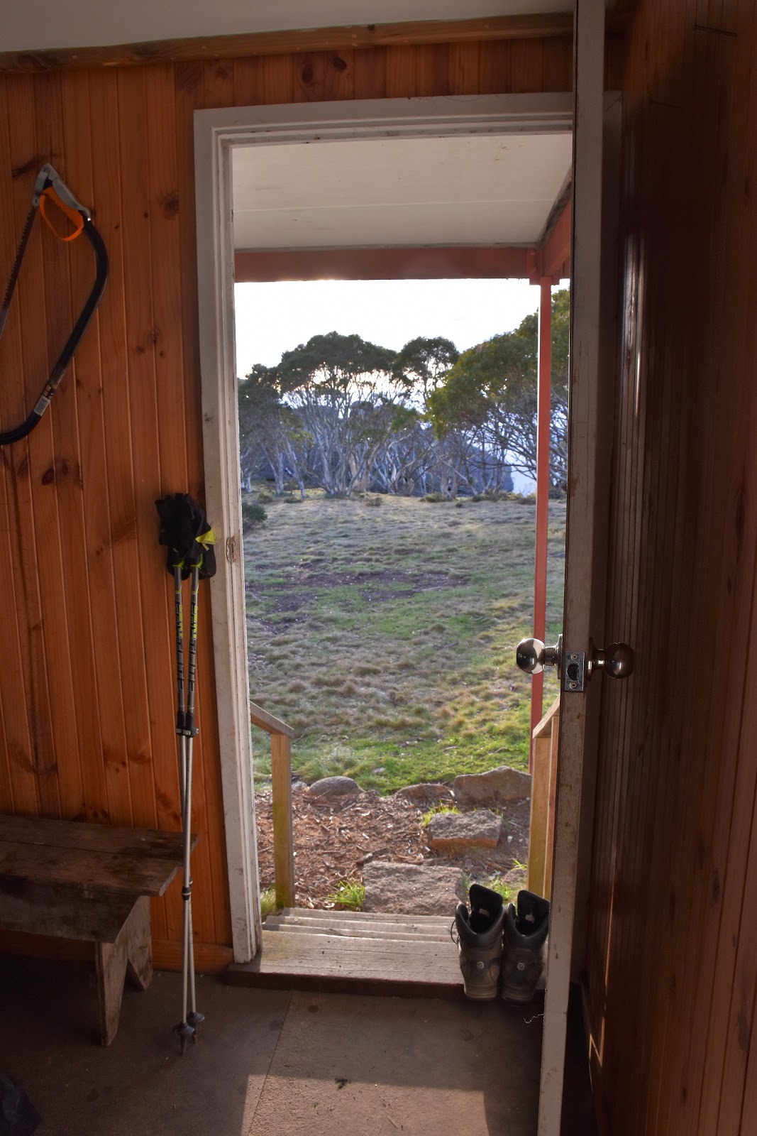 Goin' Feral One Day At A Time: Mt Wills to Four Mile Creek, AAWT ...