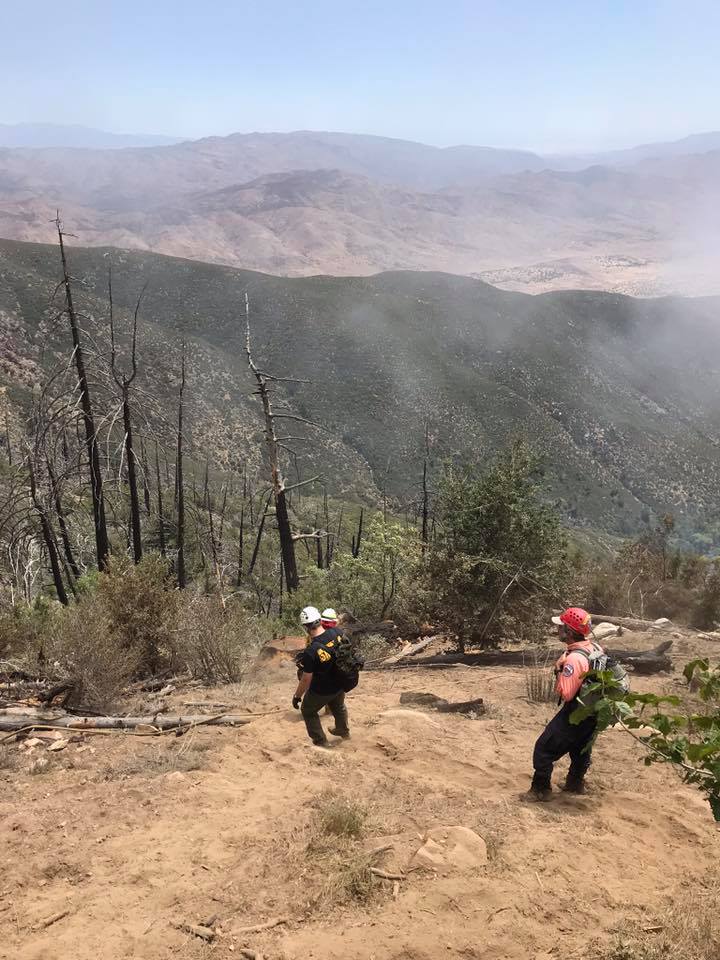 Kathryn's Report: 06/29/20