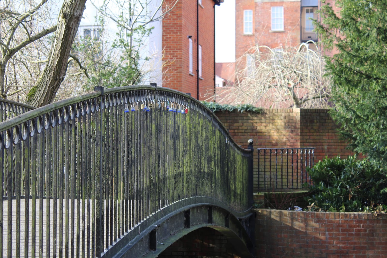 365 Days.: City of Salisbury.