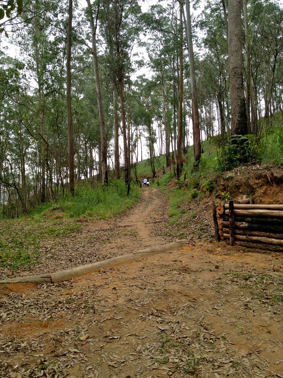 Parque M'Boi Mirim em São Paulo ~ Áreas Verdes das Cidades - Guia de ...