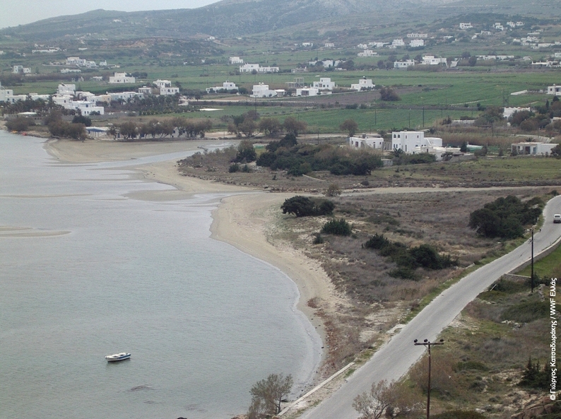 PAROS PRESS: Υγρότοποι Πάρου - Αντιπάρου: Τα στολίδια των νησιών