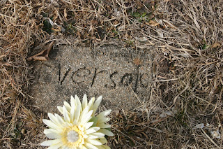 The Salt of America: Where Is Robert Eversole? – His Life, His Family ...