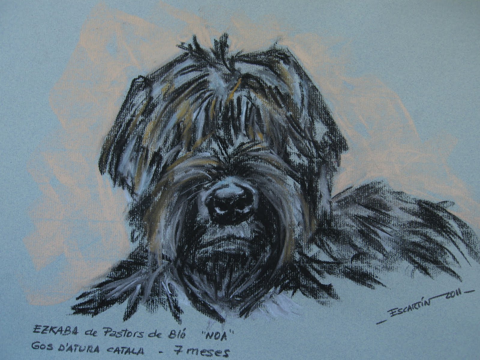 Alto Aragon Natural Paint: MIS GOS D'ATURA -Pastor catalan