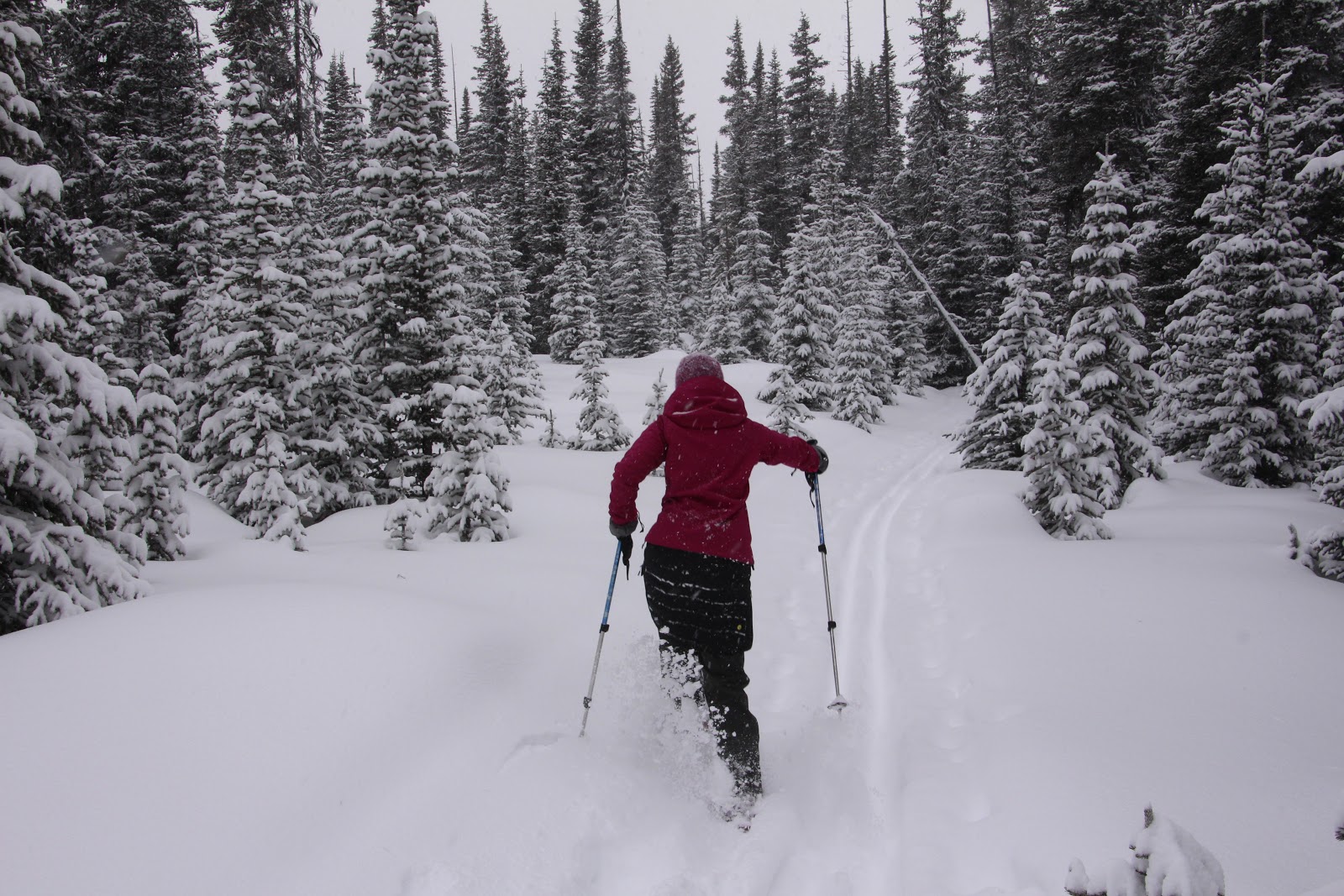Family Adventures in the Canadian Rockies: Snow Warm! An Outdoor Mom's ...