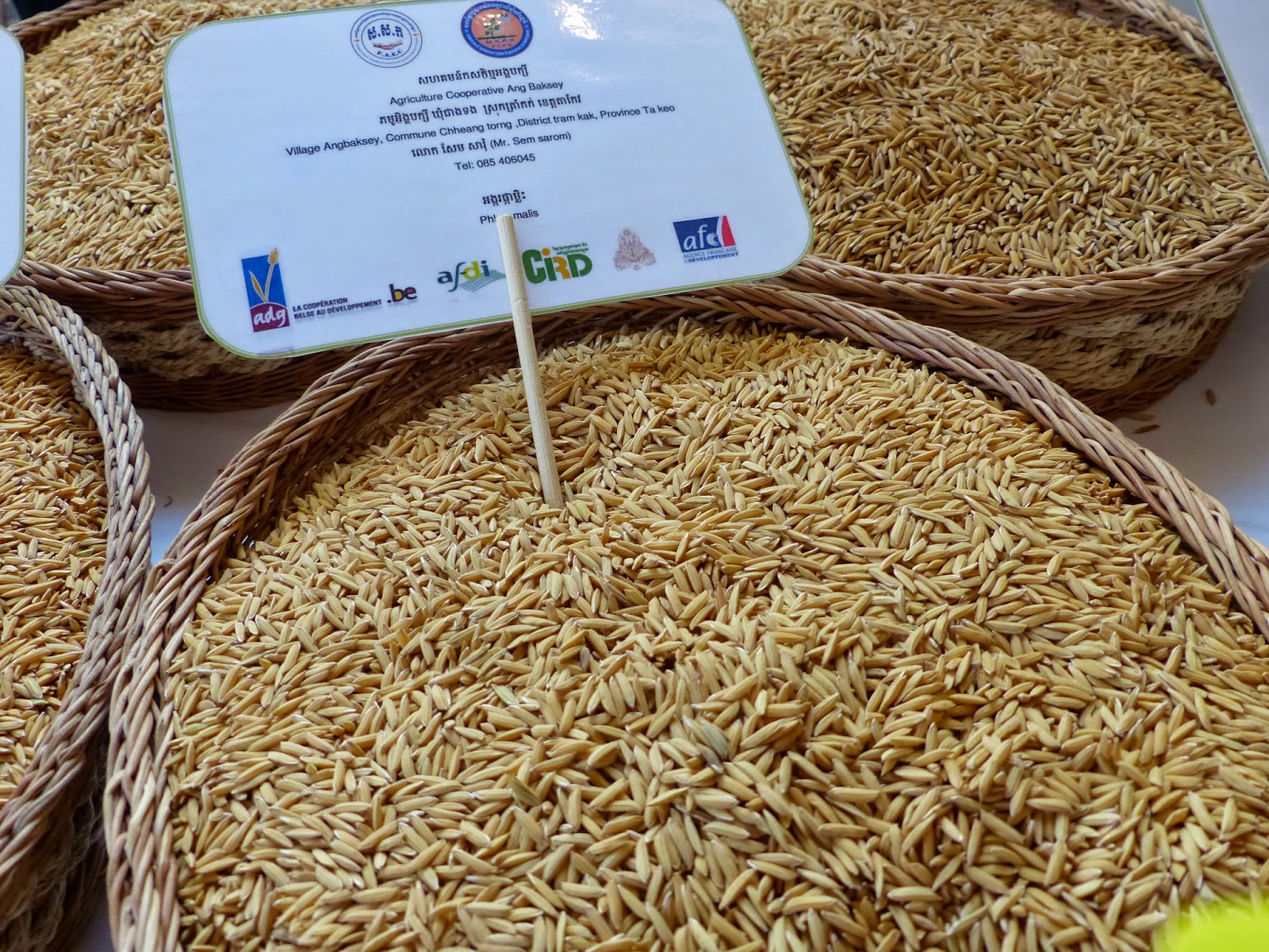 Connecting: Cambodia's Rice is World's Best