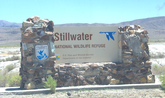 Fallon, Nevada Things to do: Stillwater National Wildlife Refuge