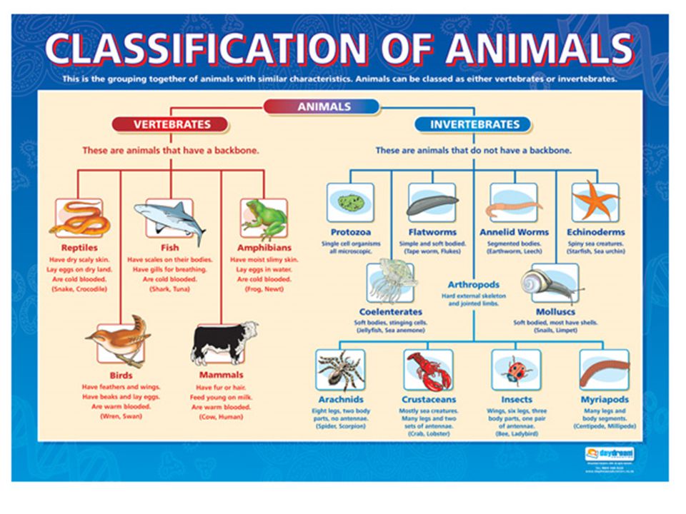 Module 5 - Memory Learning ,Improving Concentration And Reading System