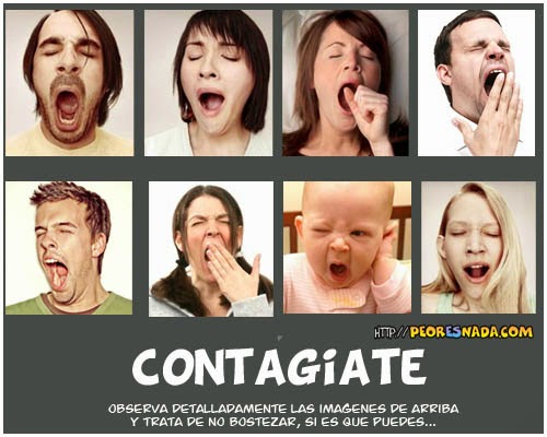 EL RINCÓN DE PABLO: ¿Para que sirve bostezar?