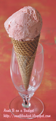 BethAnne on a Budget: Rhubarb Custard Ice Cream